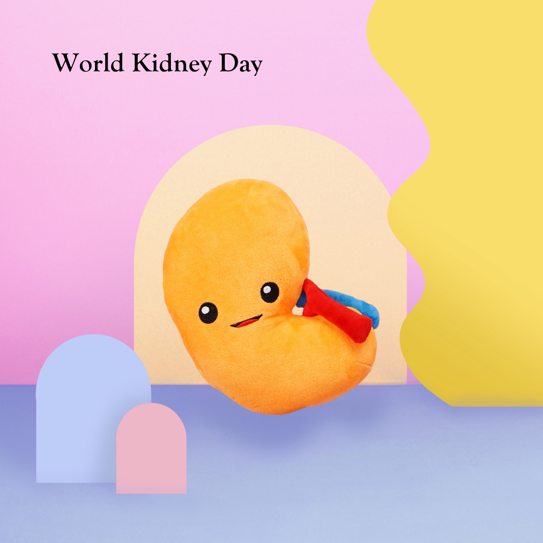 Happy World Kidney Day! – Nerdbugs Plush Organs