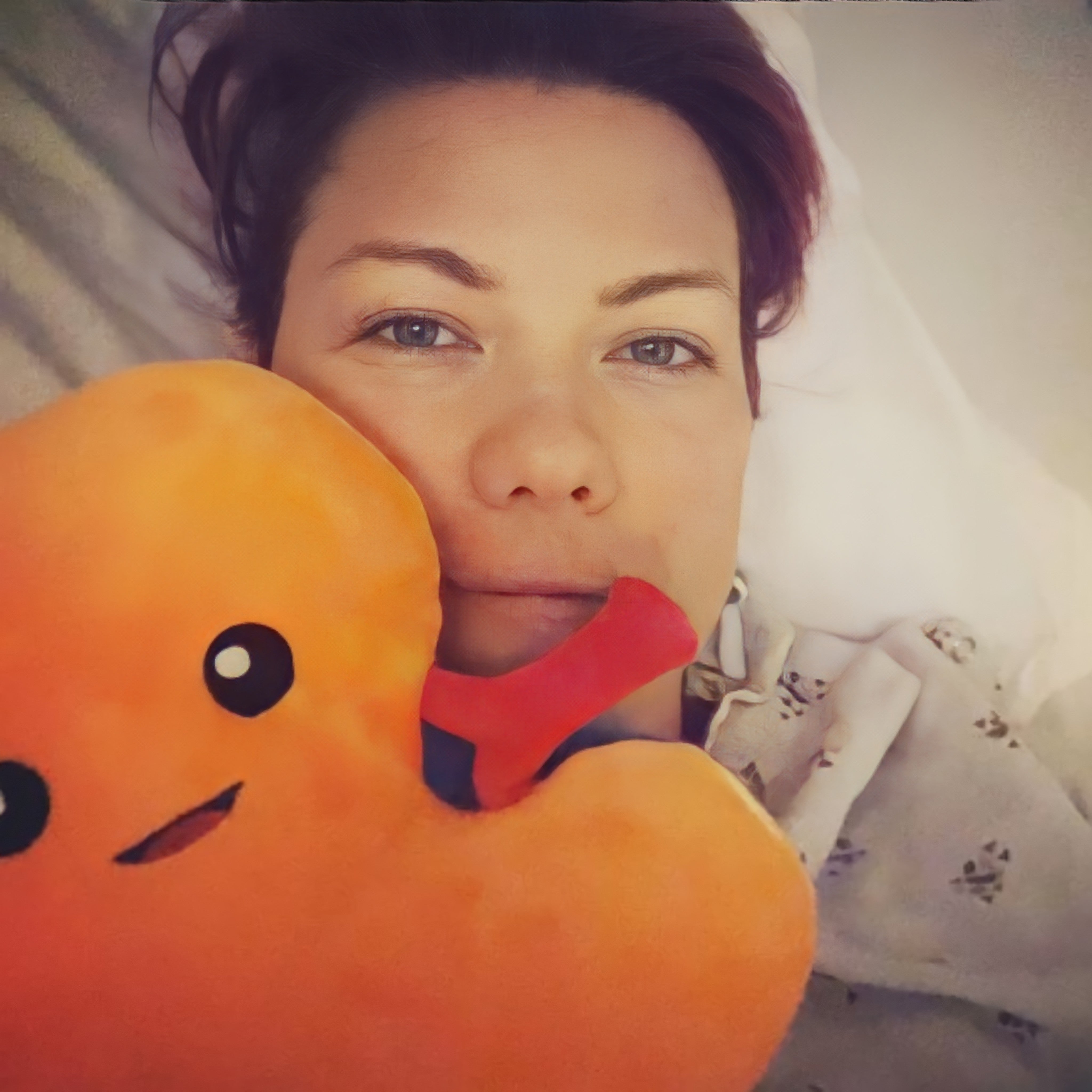 Ann Shannon, the Kidney Donor Superstar – Nerdbugs Plush Organs