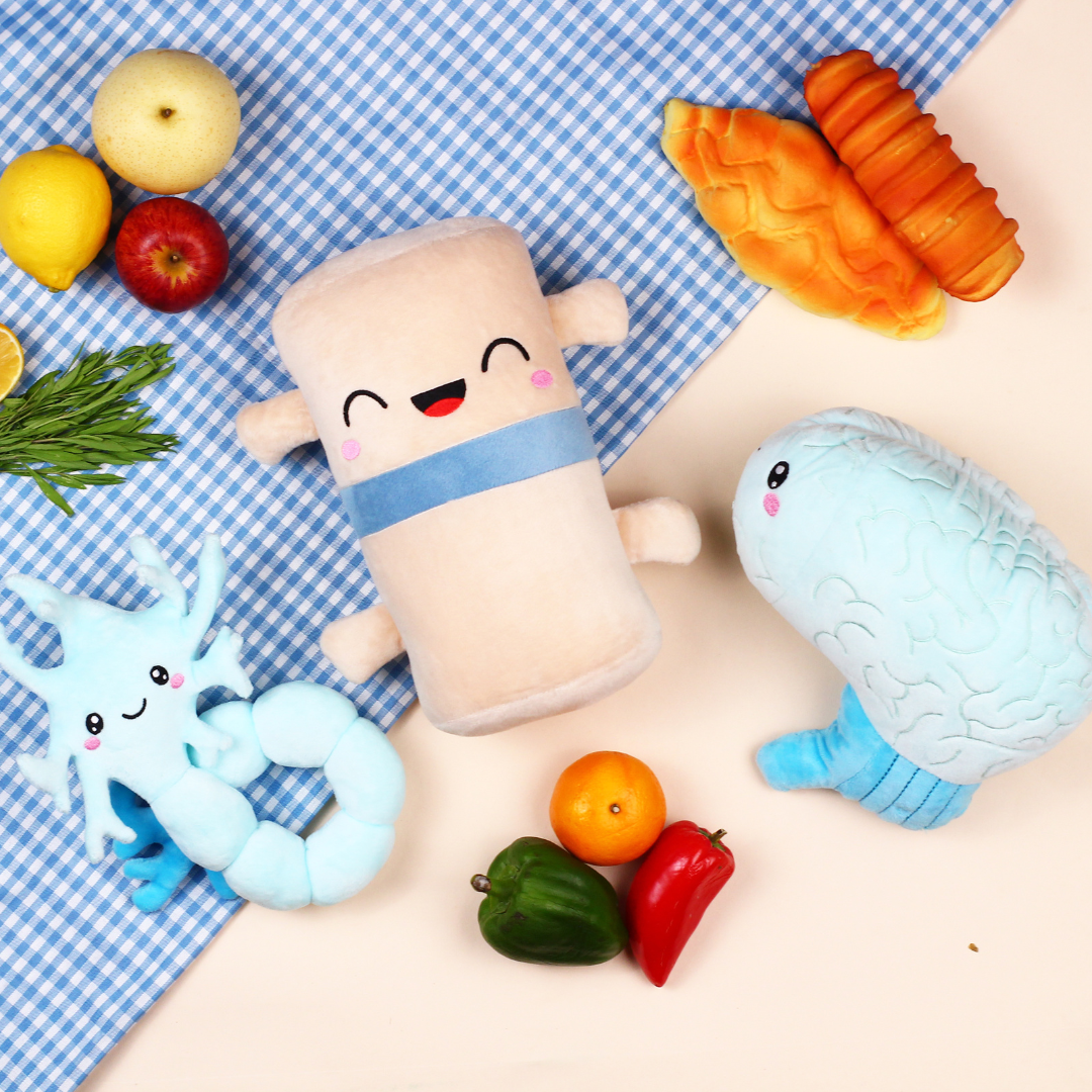 Make Science Fun: Kitchen Experiments That Teach Anatomy – Nerdbugs ...