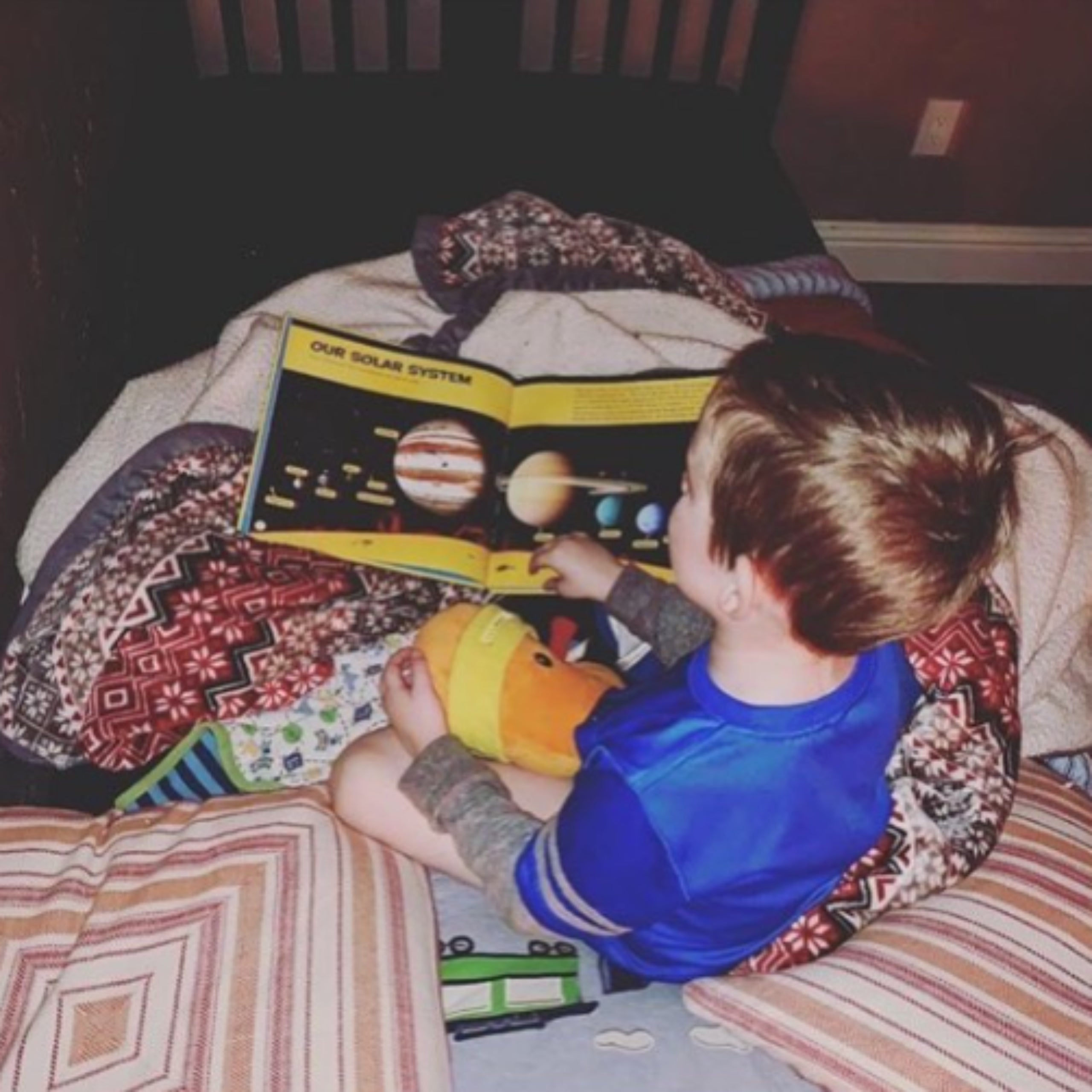 Little Bugaroo Frank – Nerdbugs Plush Organs