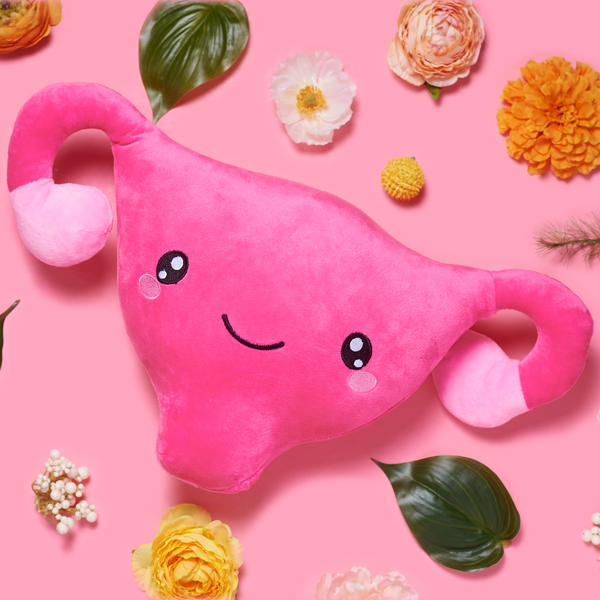 National Women's and Endometriosis Month – Nerdbugs Plush Organs