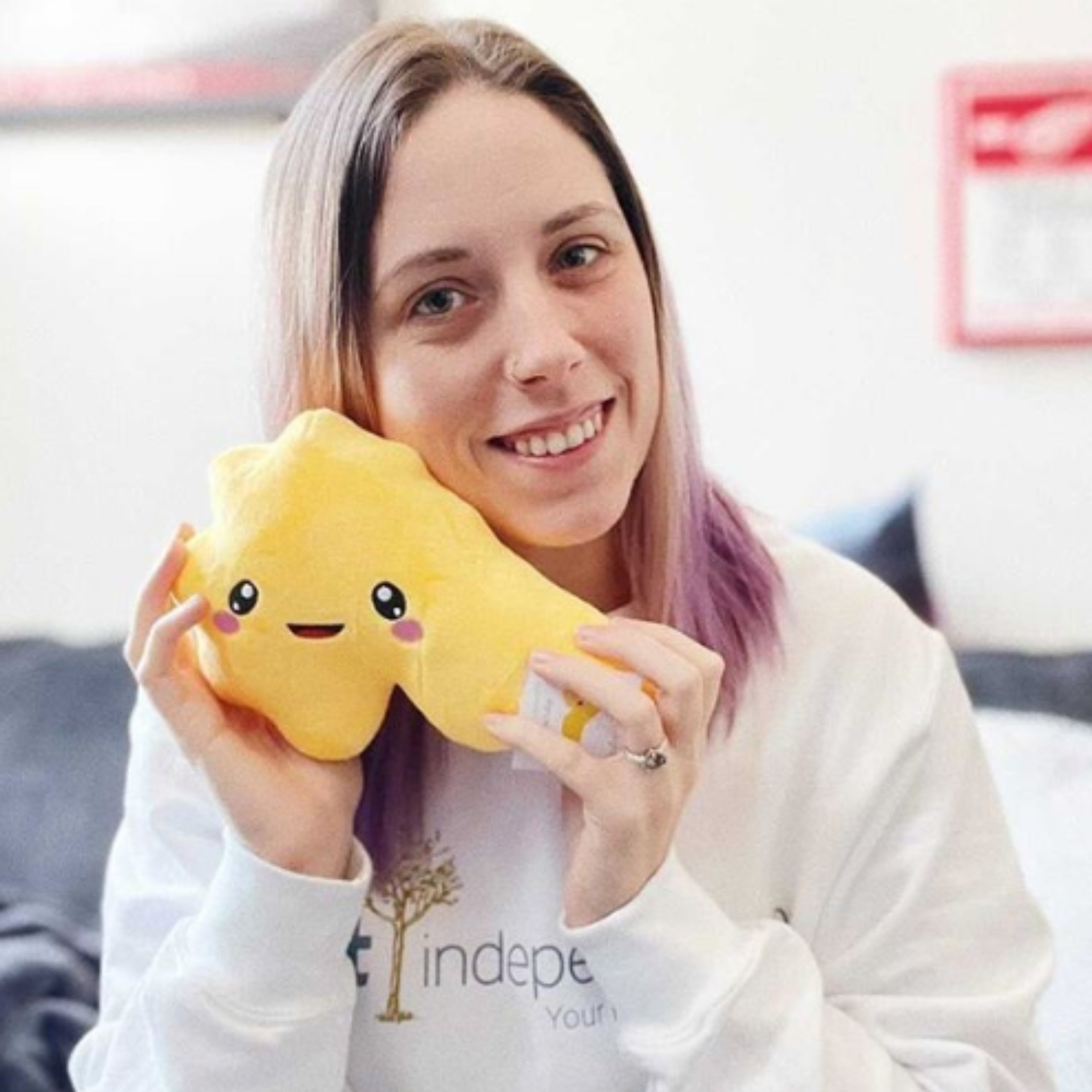 Sweet Surprise Alert: Abby's Type 1 Diabetes Tale! – Nerdbugs Plush Organs