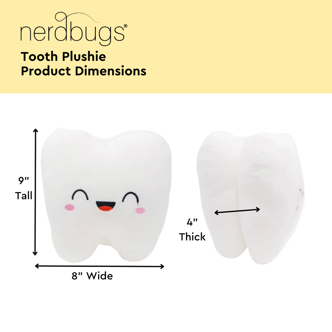 Heart, Lungs, Brain, Eye, & Tooth Bundle - The Starter Pack