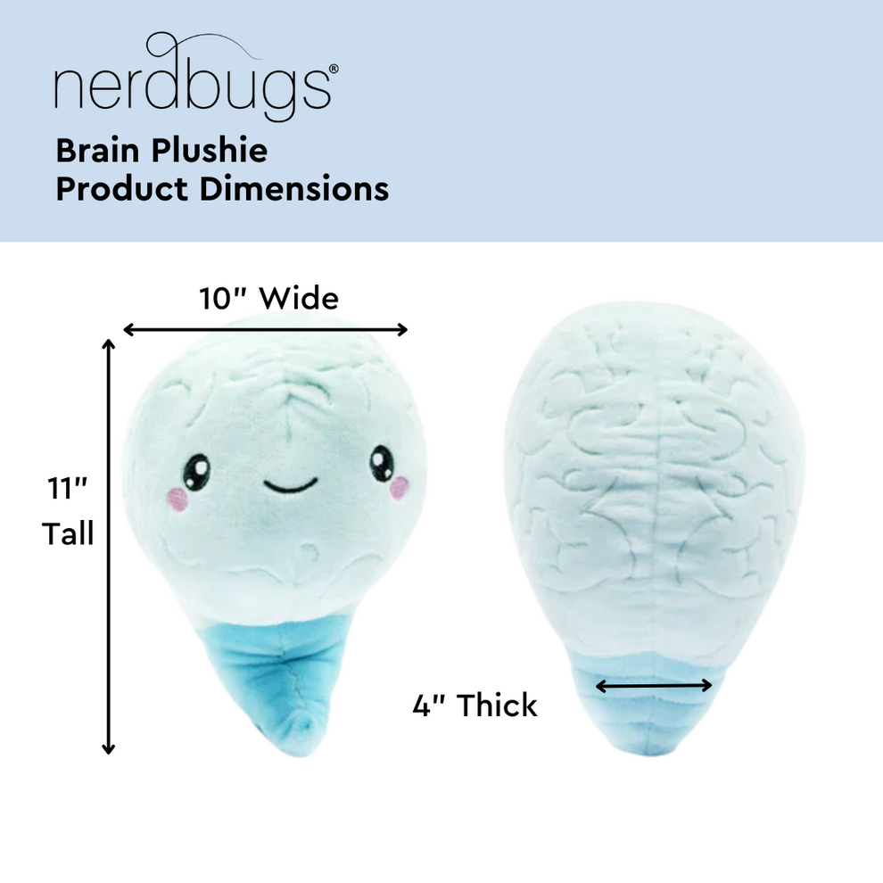 Brain Plush Organ Toys - Nerdbugs Brain Plushie Toys – Nerdbugs Plush ...