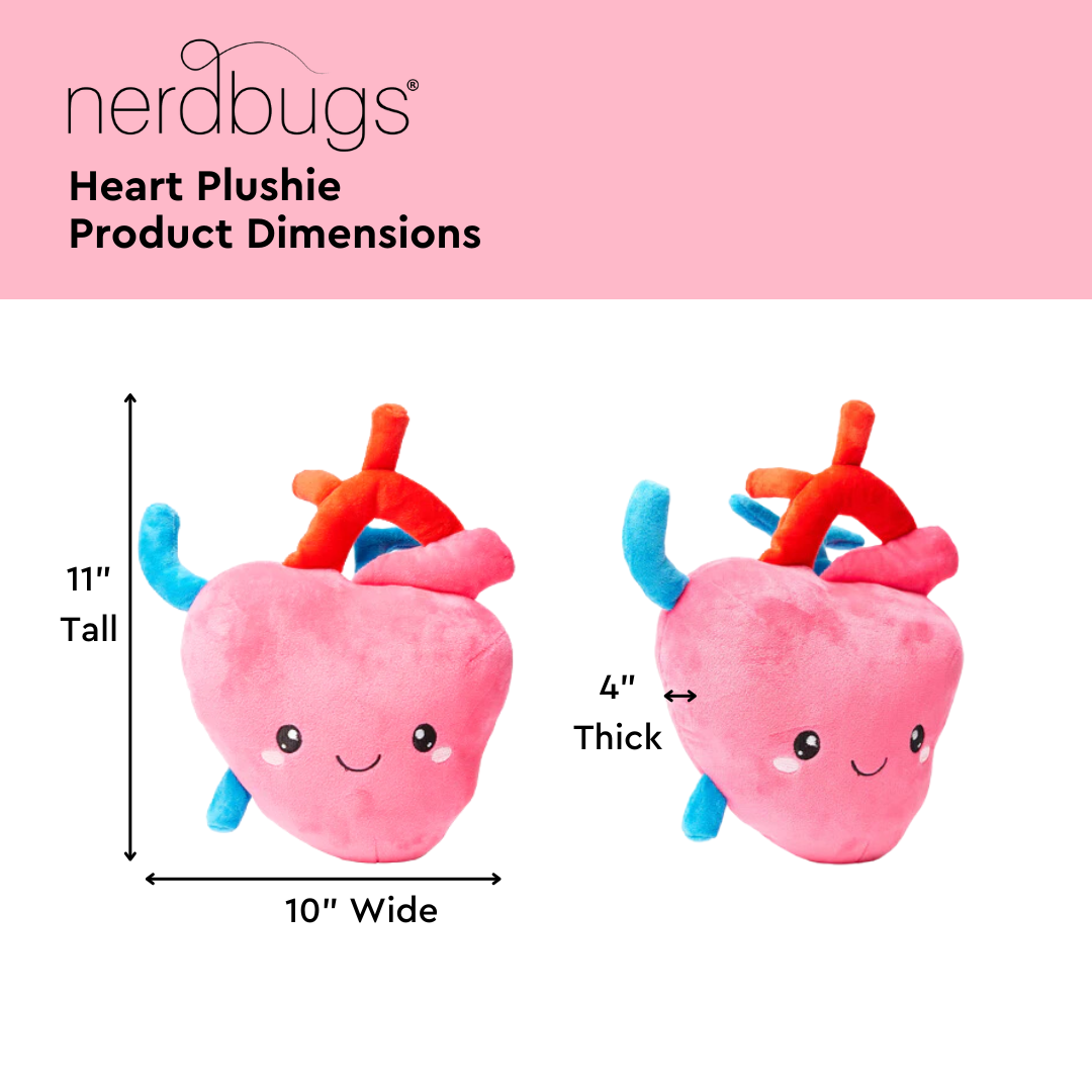 Heart Plush Organ Toys - Heart Plushie Organ Toys - Heart Plush Toys ...