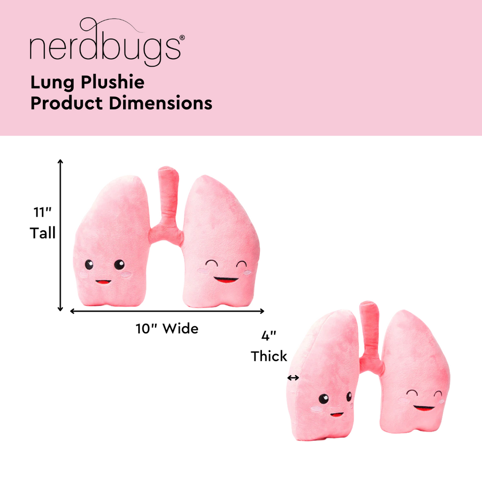 Lung Plush Organ Toys - Lung Plushie Toys & Human Organs Plush Toy ...