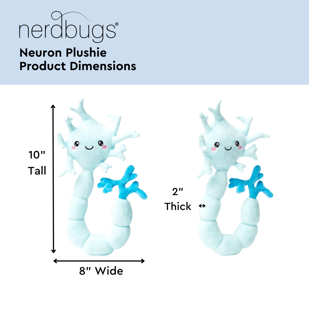Neuron Plush Organ Toys - Neuron Plushie Organ Toys - Neuron Plush Toys ...