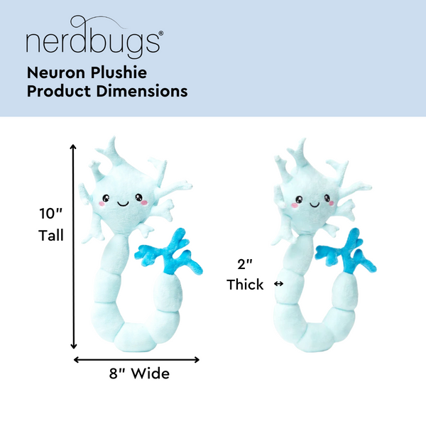 Neuron Plush Organ Toys - Neuron Plushie Organ Toys - Neuron Plush Toys ...