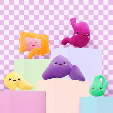 Digestive System – Nerdbugs Plush Organs