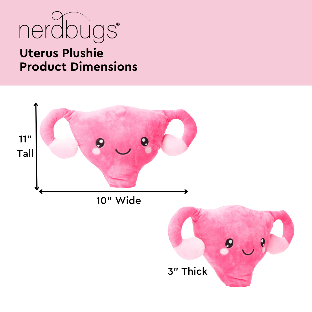 Uterus Plush Organ Toy - Uterus Plushie Toy & Human Organs Plush Toy ...