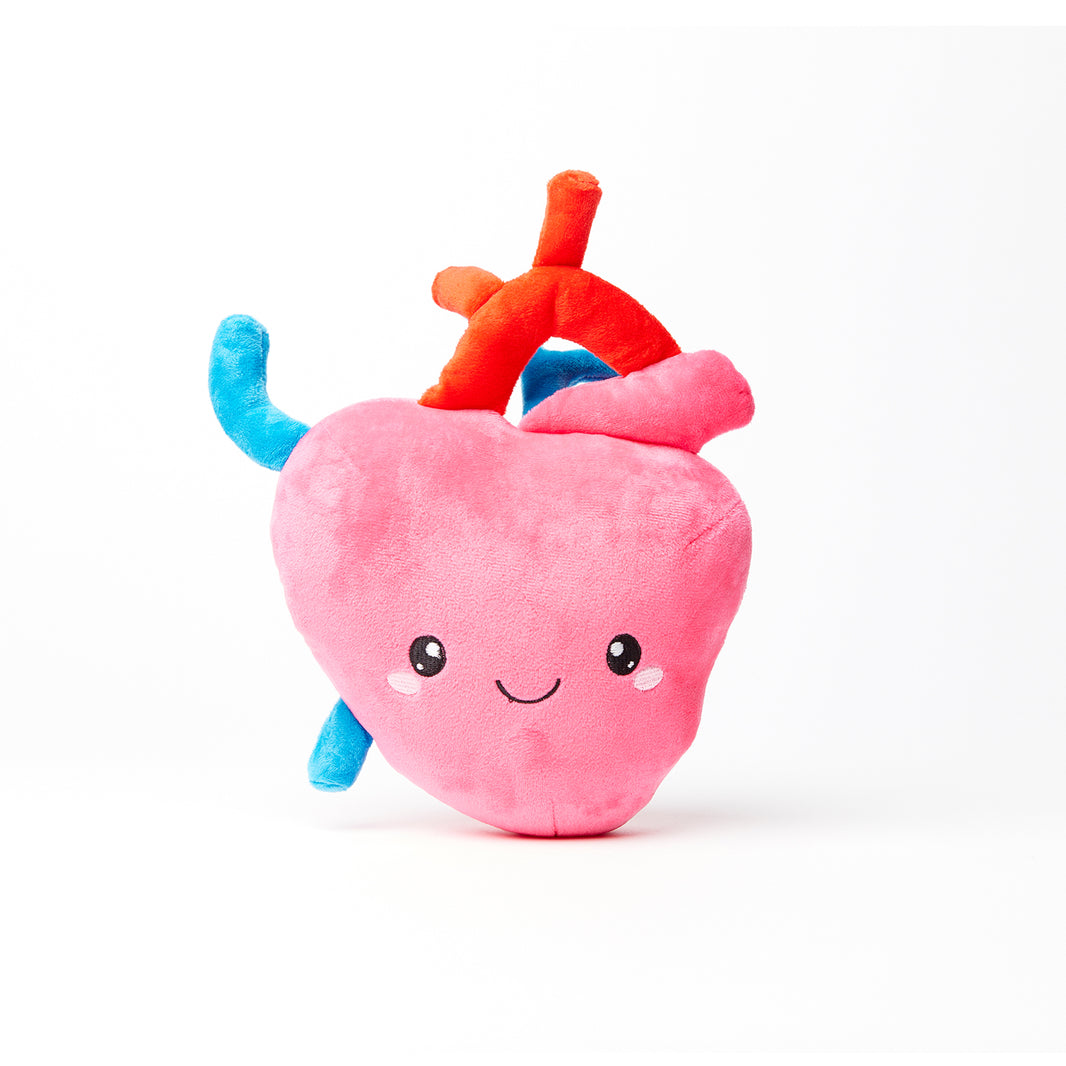 Plush Organs & Anatomy Pillows, Human Organ Toys- Nerdbugs Plush Organs
