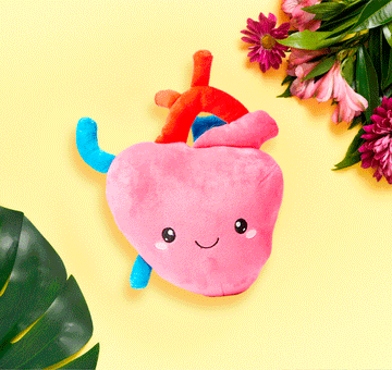 Plush Organs & Anatomy Pillows, Human Organ Toys- Nerdbugs Plush Organs