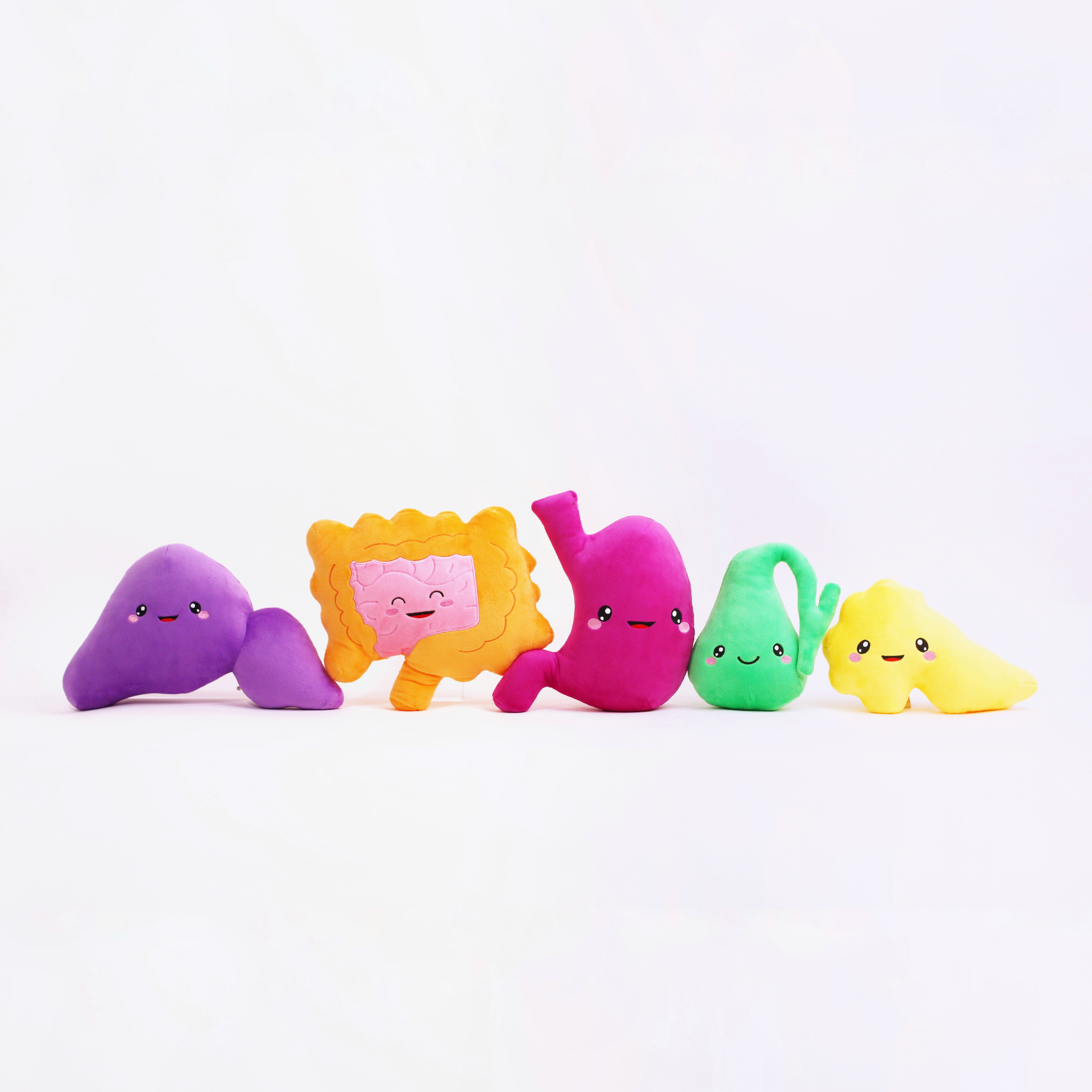 Digestive System Bundle- Smells Like Digestive Spirit – Nerdbugs Plush ...