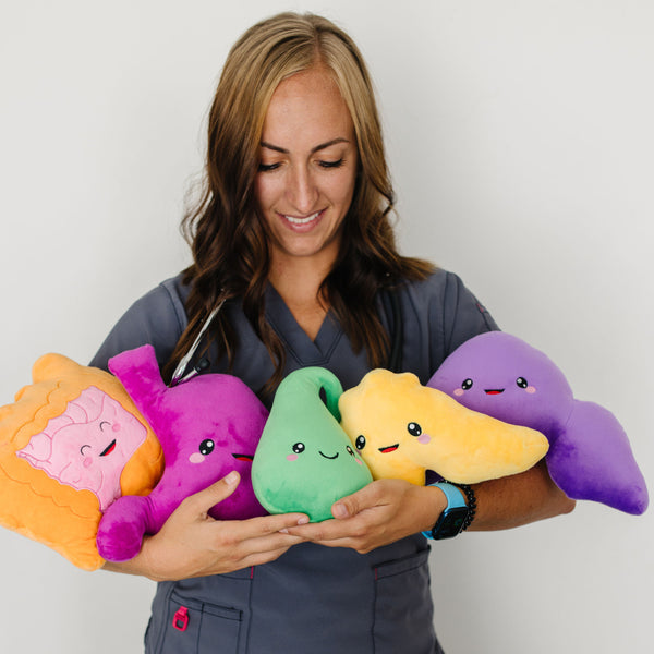 Digestive System Bundle- Smells Like Digestive Spirit – Nerdbugs Plush ...