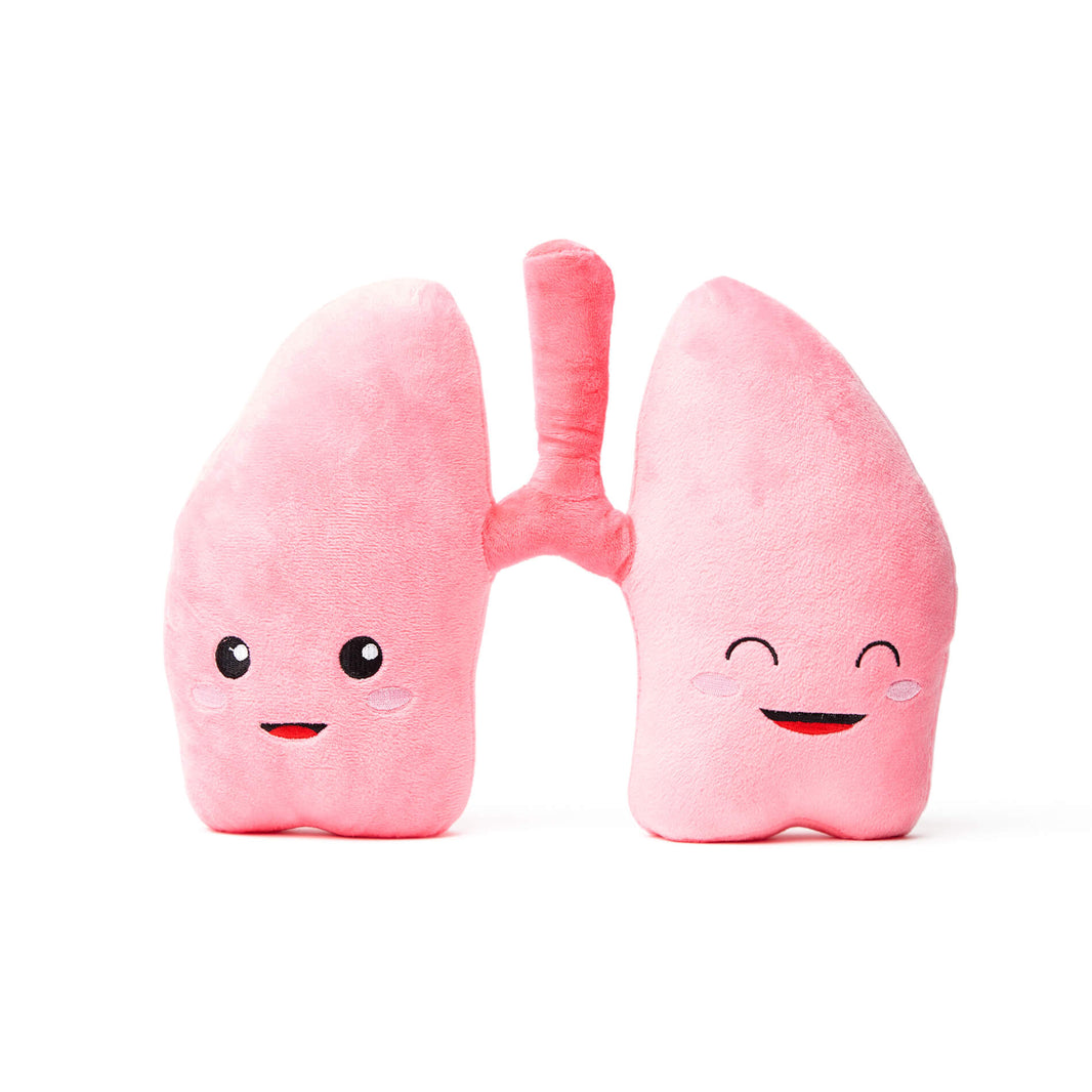 Plush Organs & Anatomy Pillows, Human Organ Toys- Nerdbugs Plush Organs