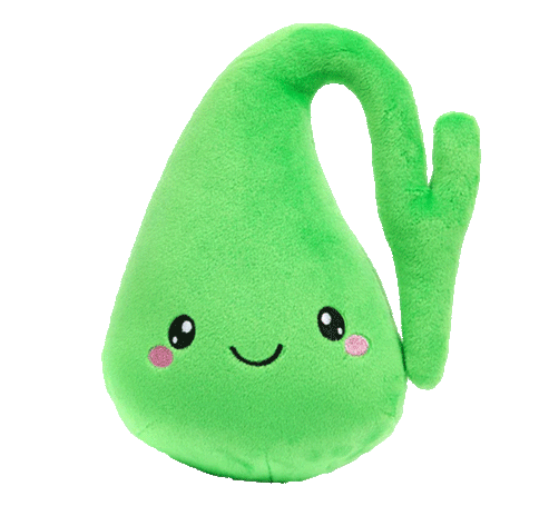 Gallbladder Plush Organ Toys - Gallbladder Organ Toys – Nerdbugs Plush ...