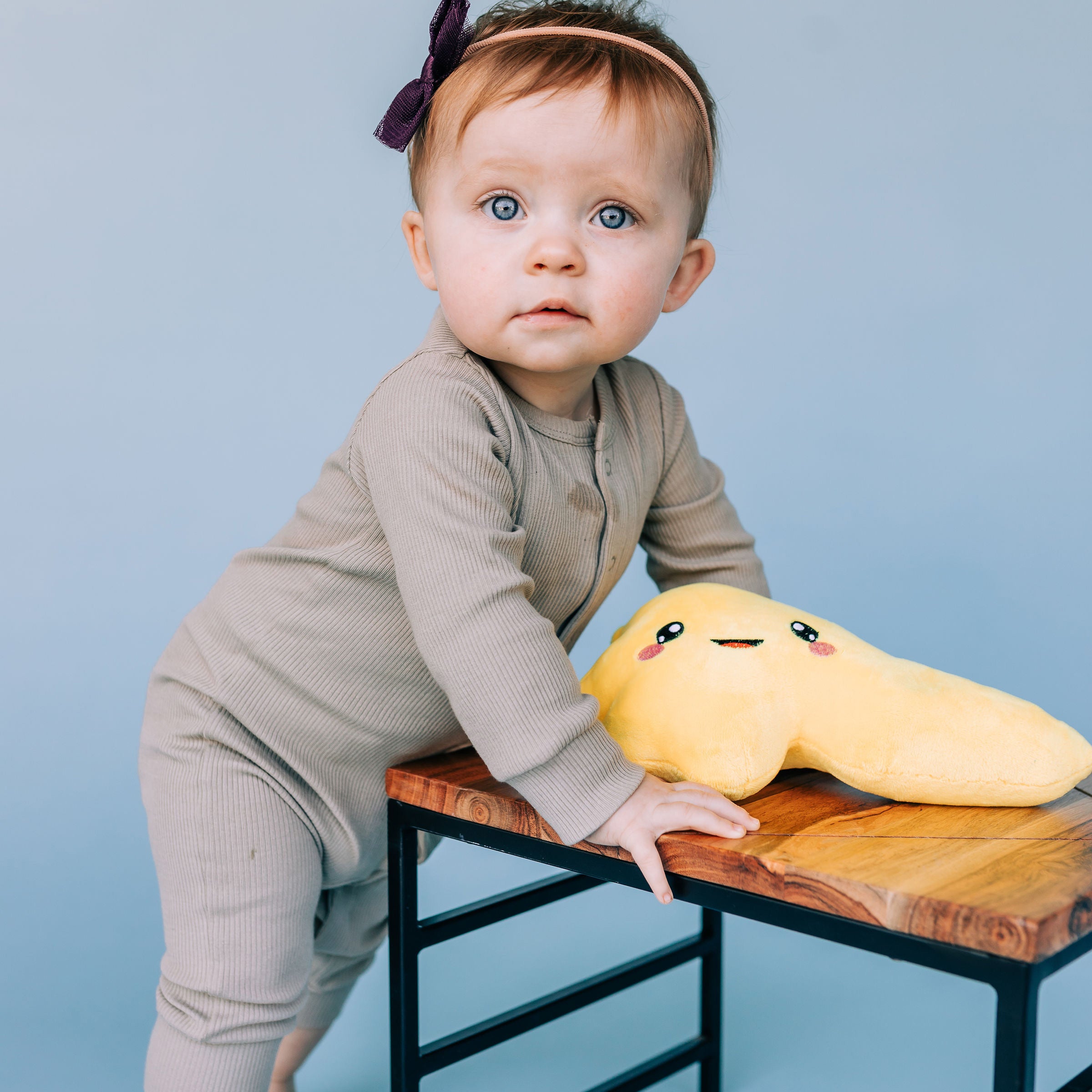 Pancreas Plush Organ Toys - Human Body Organs Pancreas Plushie Toys ...