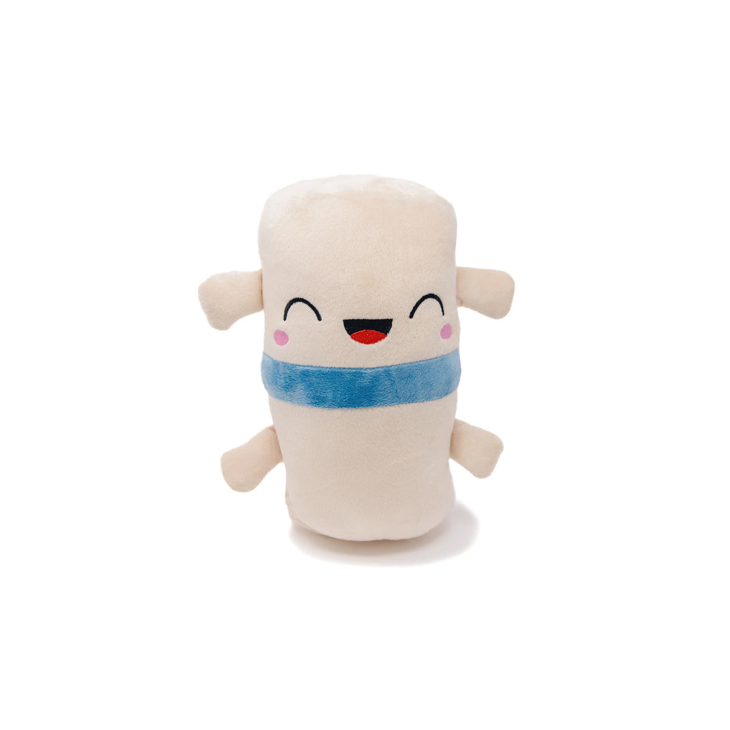 Plush Organs & Anatomy Pillows, Human Organ Toys- Nerdbugs Plush Organs